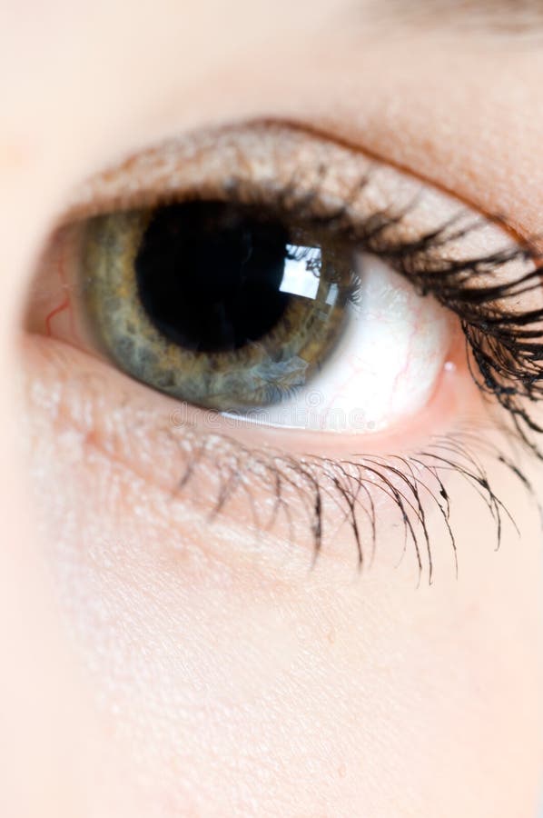 Beautiful Human Eye and Contact Lens Isolated Stock Image - Image of ...