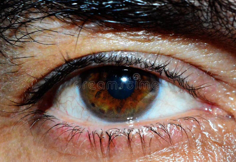 Human Eye Picture. Image: 83022608