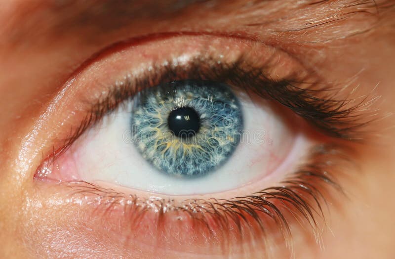 Human Eye Photography