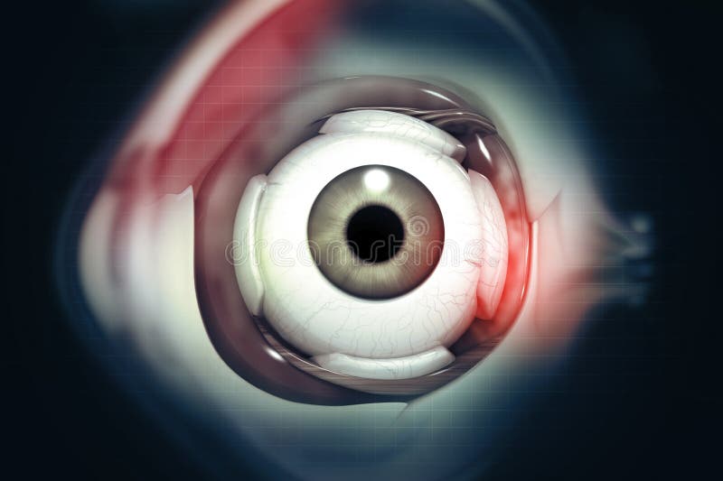 Human Eye Anatomy.inner Structure Stock Illustration - Illustration of ...