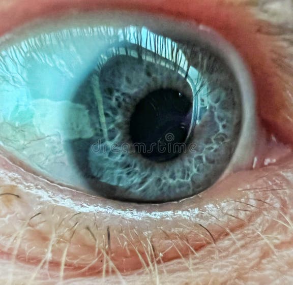 Human eye stock image. Image of human, iris, body - 251432549