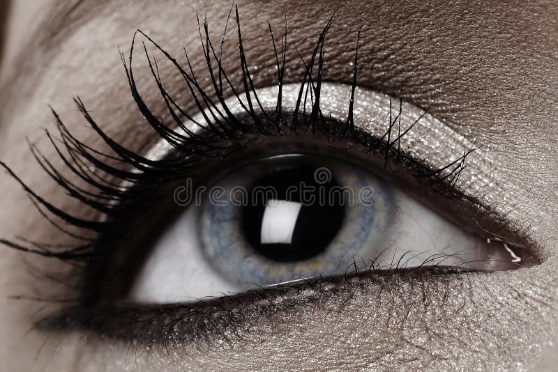 Human eye close up stock image. Image of human, eyelid - 6710305