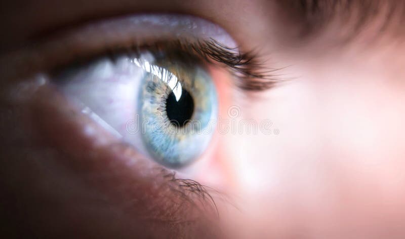 Human eye stock image. Image of light, anatomia, luce - 115353337