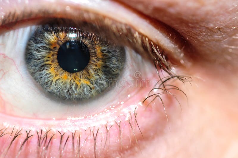 Human Eye Close Up stock image. Image of makeup, eyeball - 81809265