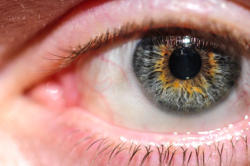 Human Eye Close Up stock image. Image of makeup, eyeball - 81809265