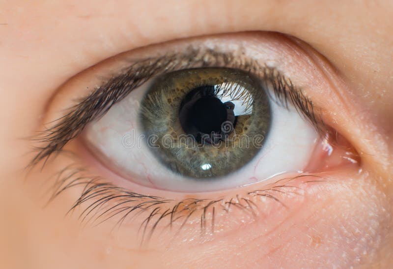 Human eye close up stock image. Image of gorgeous, adult - 49063897