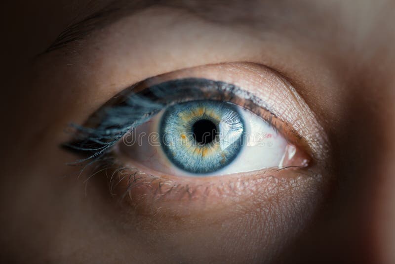 Human Eye. Color Toned Image. Stock Photo - Image of depth, eyelid ...