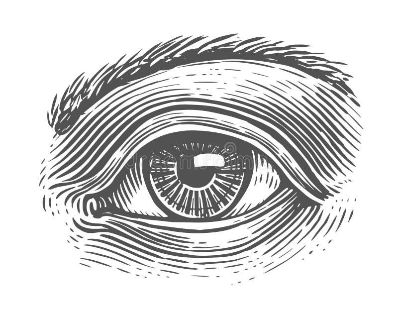 Human Eye in Engraved Style. Hand Drawn Sketch Vector Illustration ...