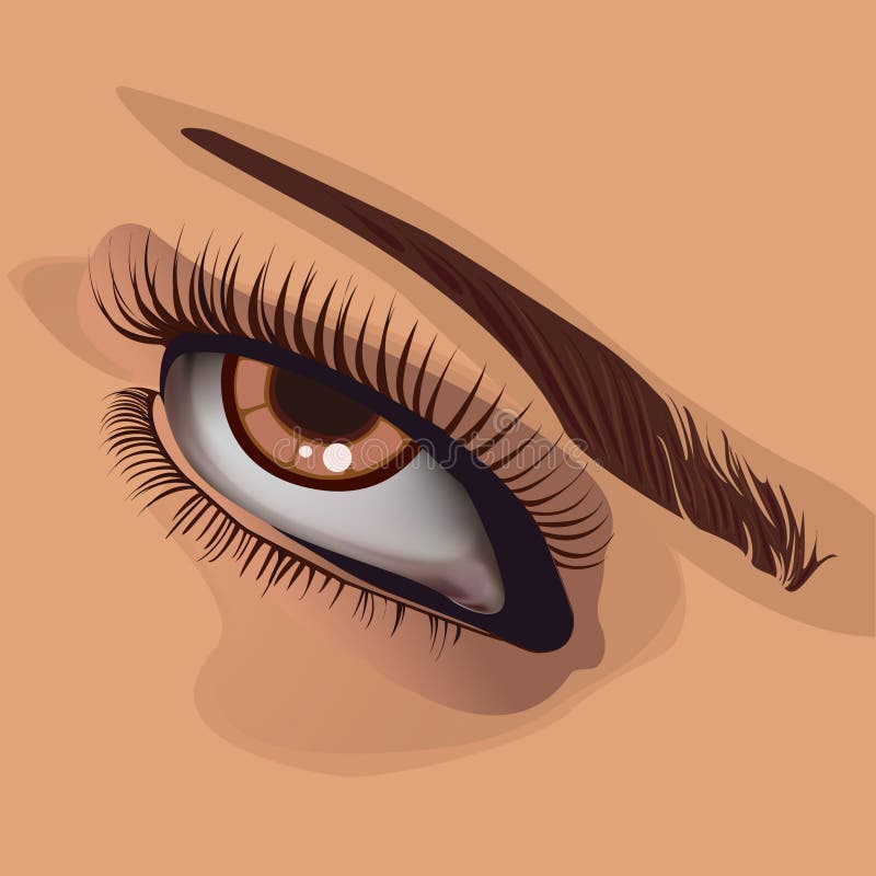 Human Eye And Eyebrow .Vector Illustration Stock Illustration ...