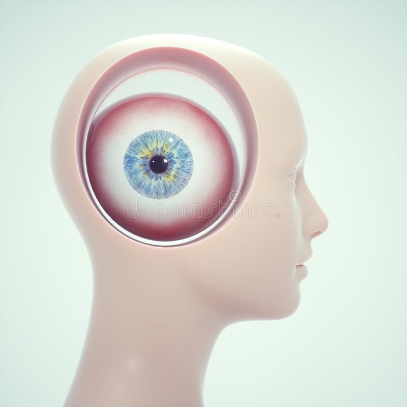 Human Eye in the Head. Vision Concept Stock Illustration - Illustration ...