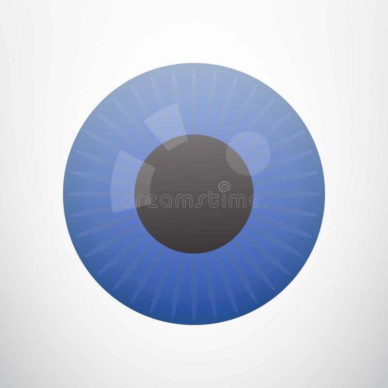 Human Eye Icon Vector for Medical App. Check Your Eyesight Stock Vector ...