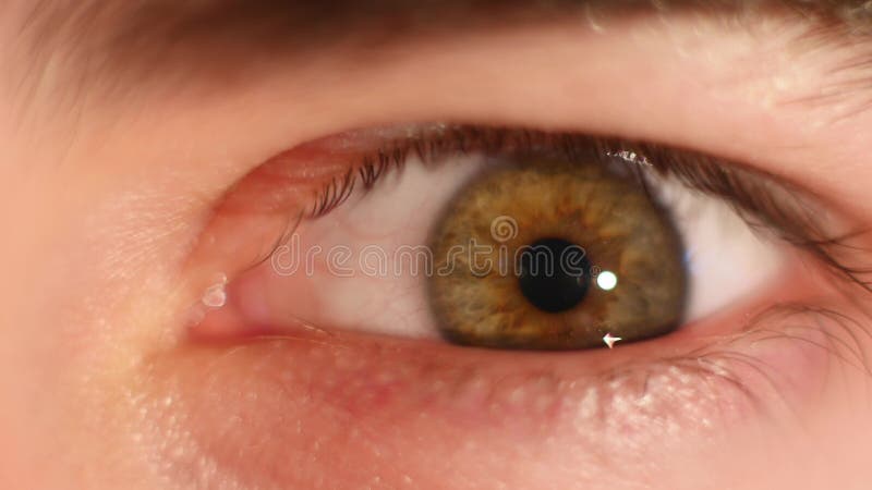 Human Eye Iris Contracting. Extreme Close Up Stock Footage - Video of ...