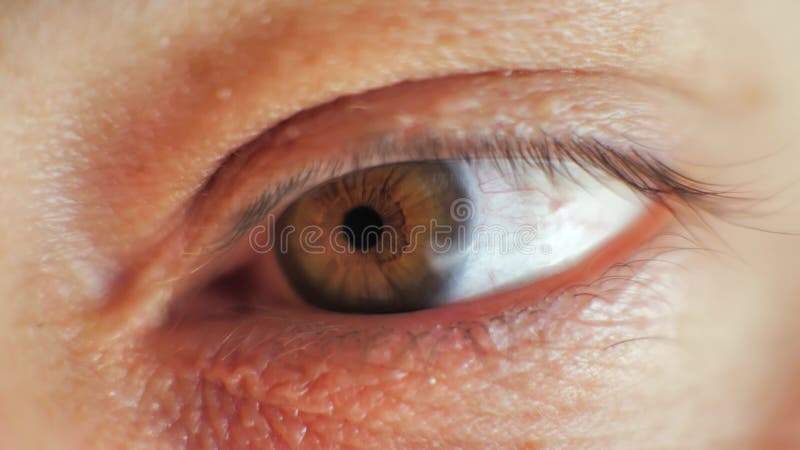 Human Eye Iris Contracting. Extreme Close Up Stock Footage - Video of ...