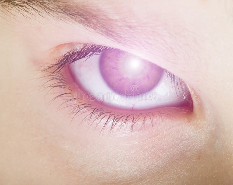 Human eye and light stock photo. Image of beauty, closeup - 31369014