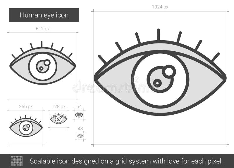 Human eye line icon. stock vector. Illustration of care - 80690844