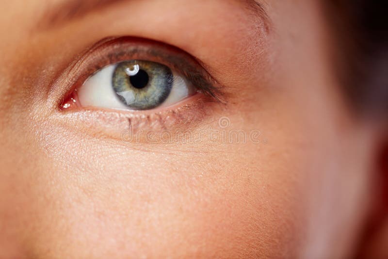 Human eye stock photo. Image of human, model, fresh, macro - 60090630