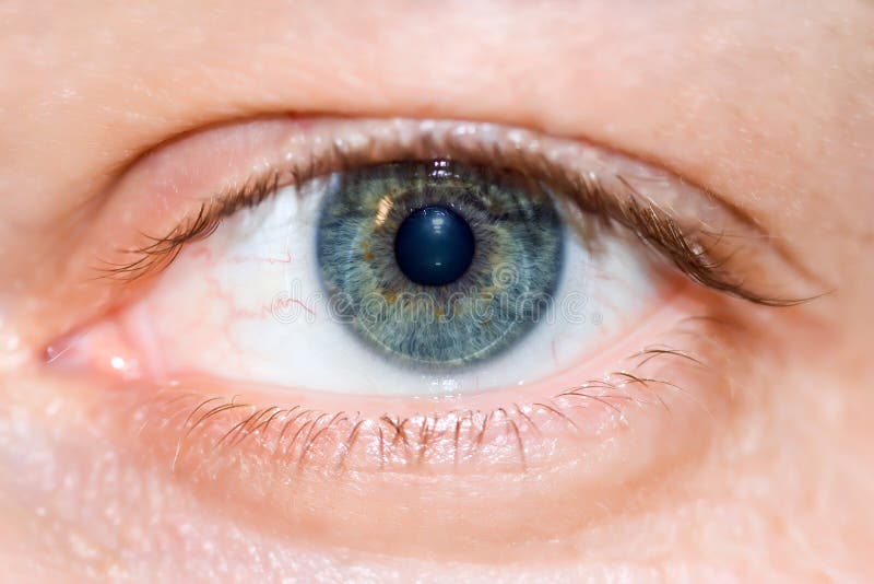 Human eye, macro stock photo. Image of eyesight, cornea - 5873746