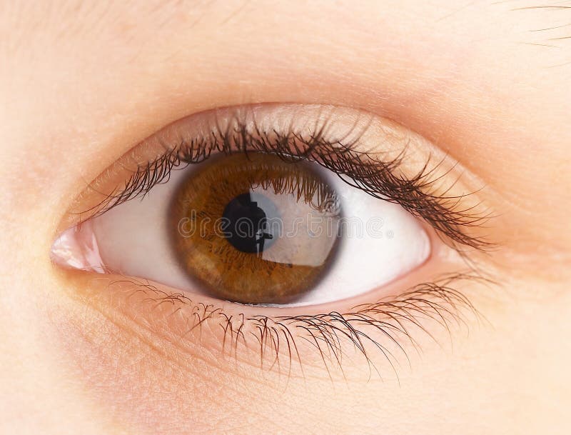 Human eye stock photo. Image of creative, brows, inspiration - 2109618