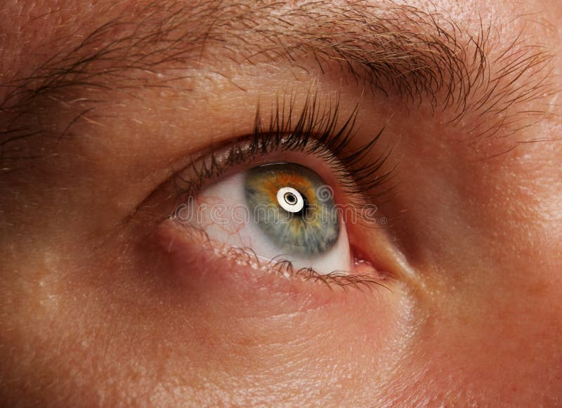 Human eye macro shot stock photo. Image of adult, masculine - 27994772