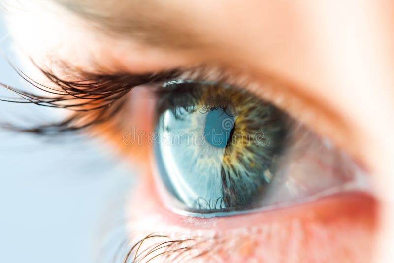 Human Eye Macro View stock photo. Image of iris, hair - 140833198