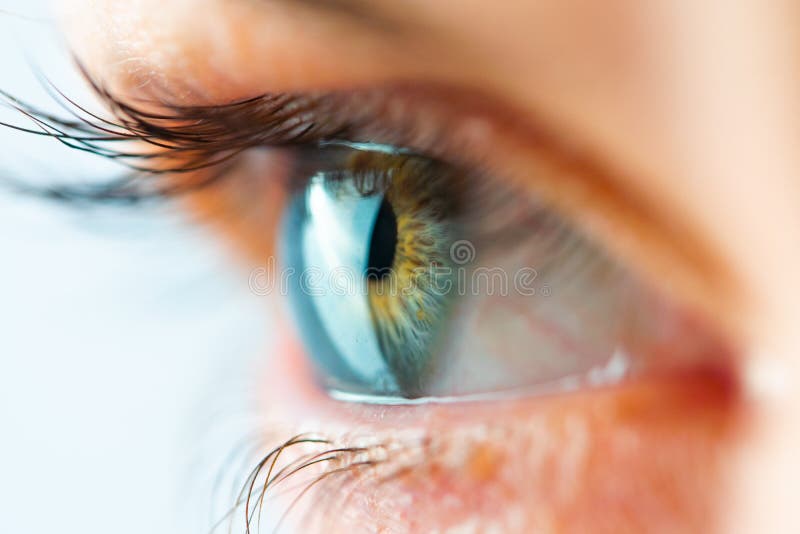 Human Eye Macro View stock photo. Image of beautiful - 140833232