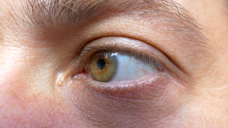 The Human Eye. the Man S Eye Moves from Side To Side. Stock Video ...