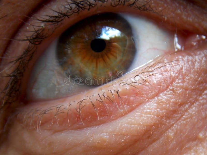 The human eye stock image. Image of human, nature, color - 120041171