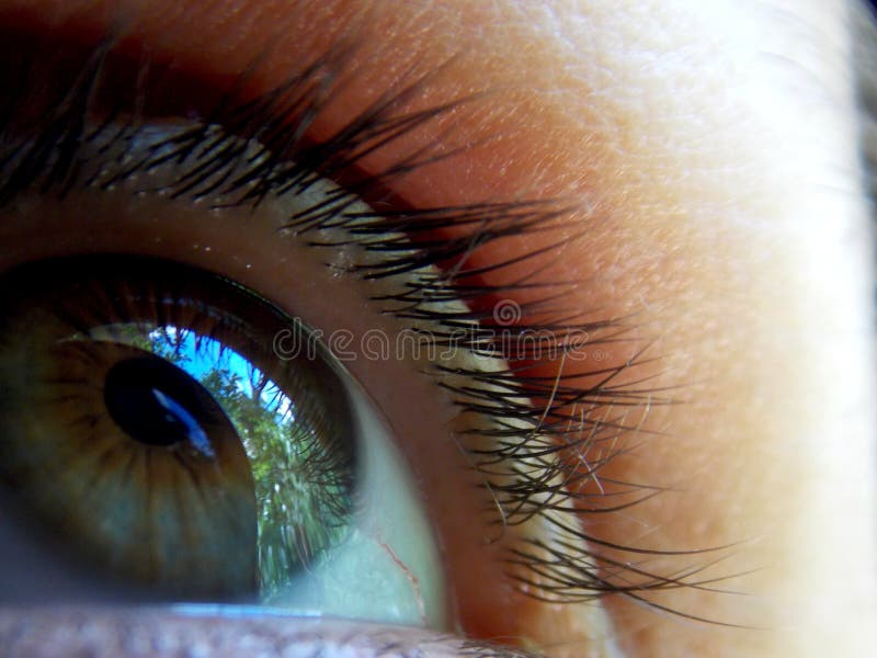The human eye stock photo. Image of people, eyelashes - 120041848