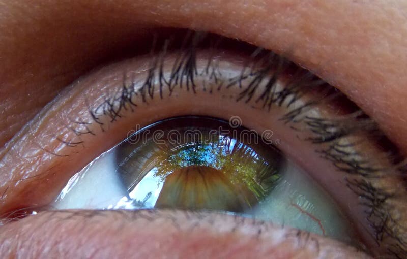 The human eye stock image. Image of macro, reflection - 120041955