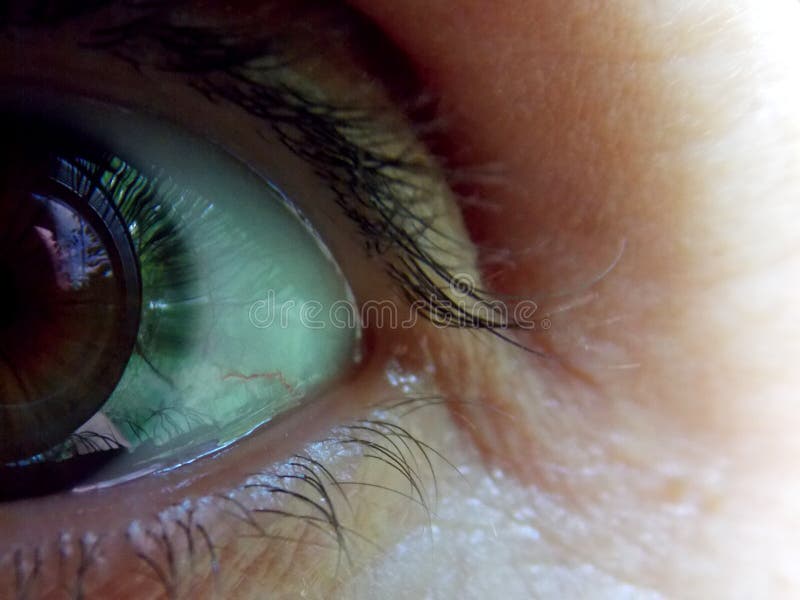 The human eye stock photo. Image of color, macro, reflection - 120042102
