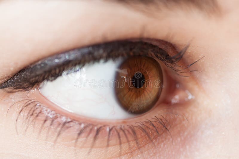 Human eye. stock image. Image of eyelid, backdrops, human - 31478859