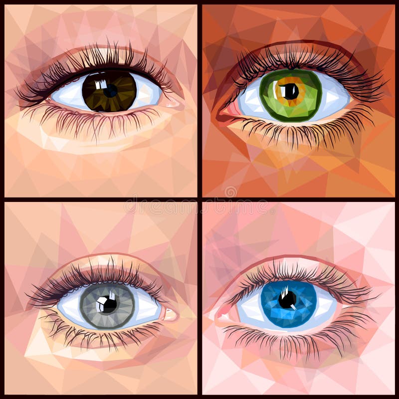Human Eye Set in Polygon Style Stock Vector - Illustration of creatures ...