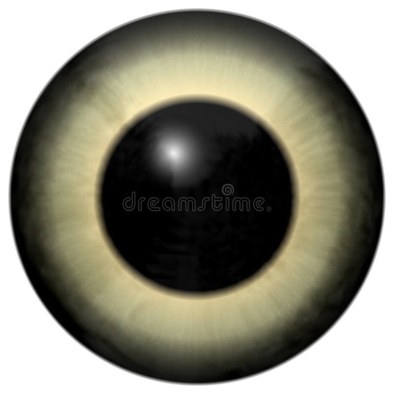 Human Eye Texture with White Background Stock Illustration ...