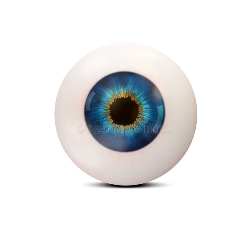 Human Eye On White Background Stock Photos - Image: 27916943