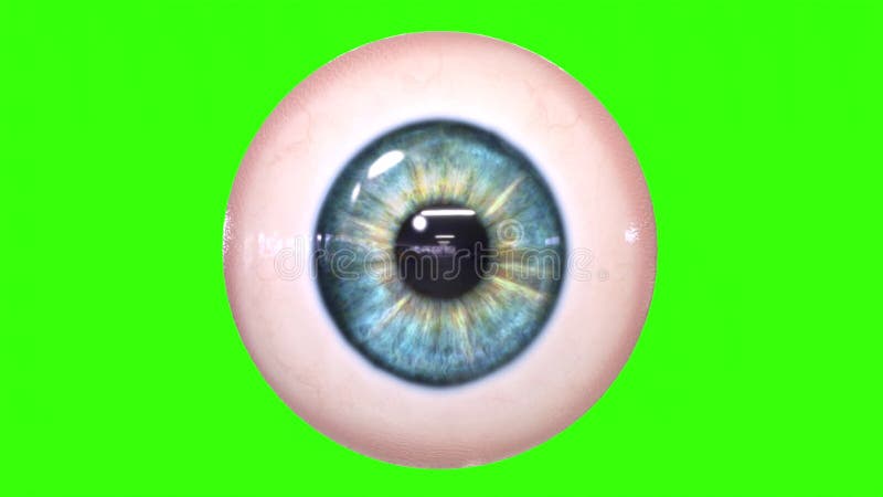 Eyeball Green Screen Motion Graphics Stock Footage - Video of ...