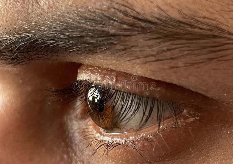 HUMAN EYES, Beauty of Nature, Vision Stock Photo - Image of eyebrow ...