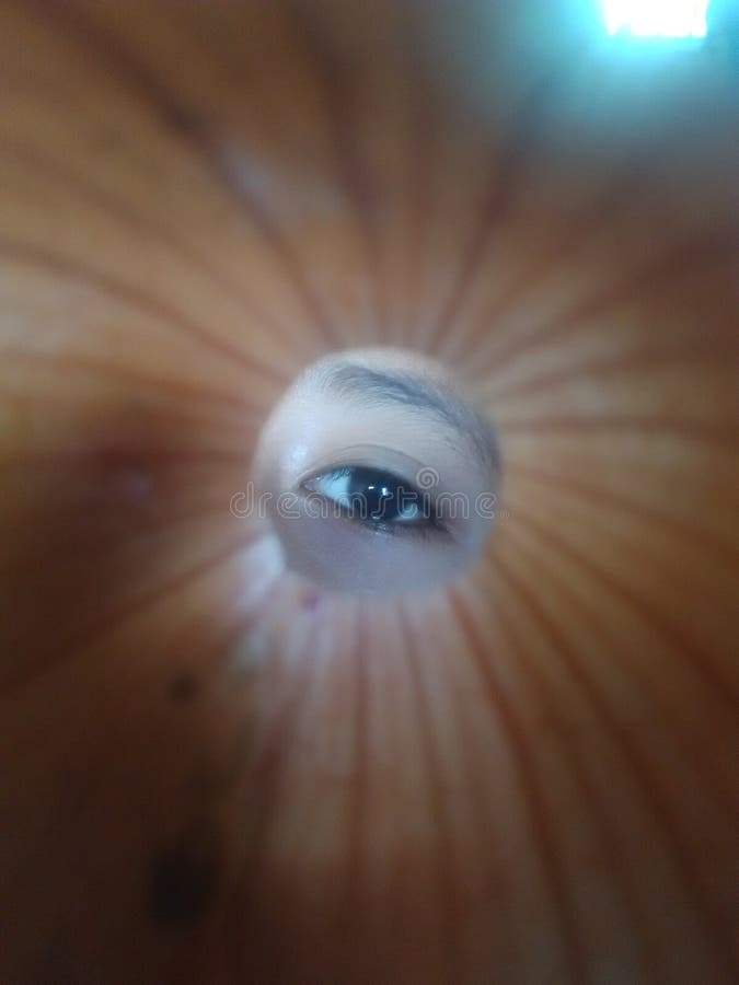 Human Eyes One Sight Closeup Stock Photo - Image of closeup, sight ...