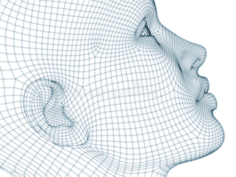 Human Face Wire Mesh stock illustration. Illustration of face - 192306821