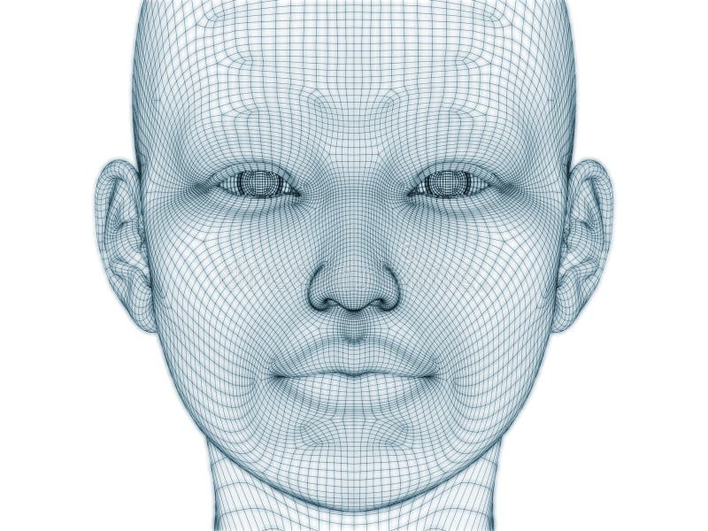 Human Face Wire Mesh stock illustration. Illustration of geometry ...