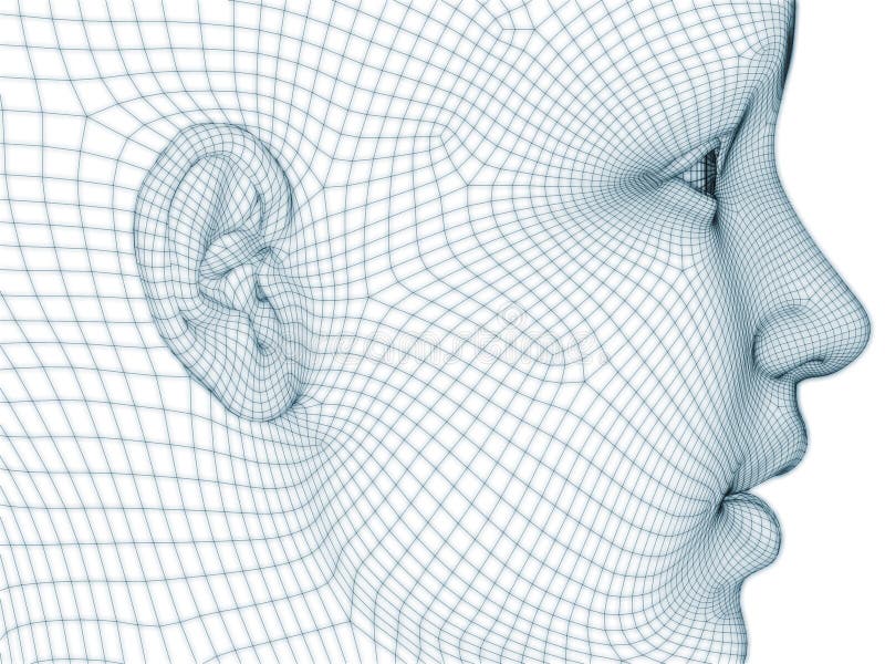 Human Face Wire Mesh stock illustration. Illustration of geometry ...