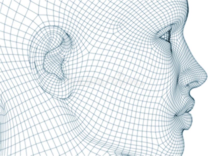 Human Face Wire Mesh stock illustration. Illustration of mesh - 205832232