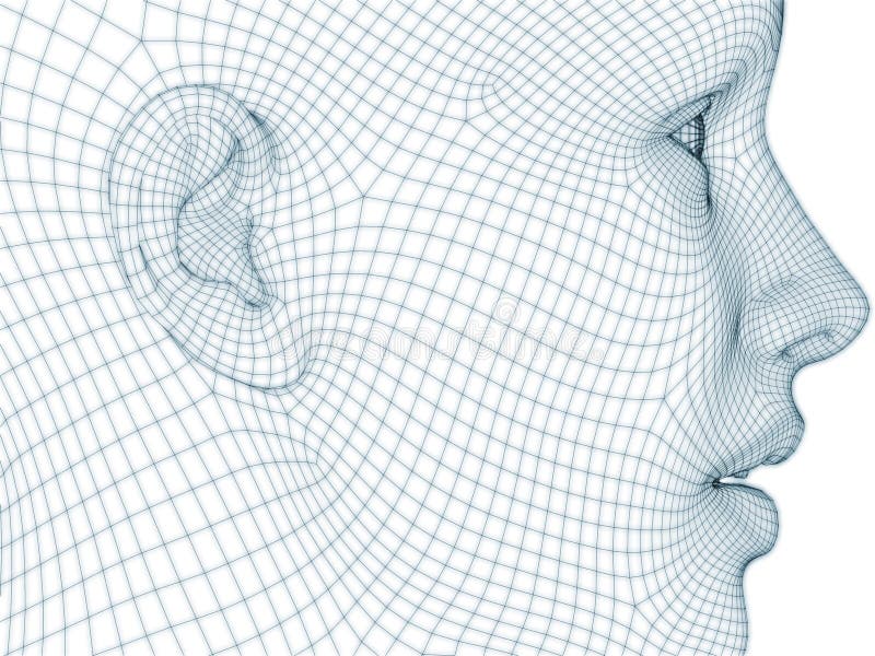 Human Face Wire Mesh stock illustration. Illustration of geometry ...