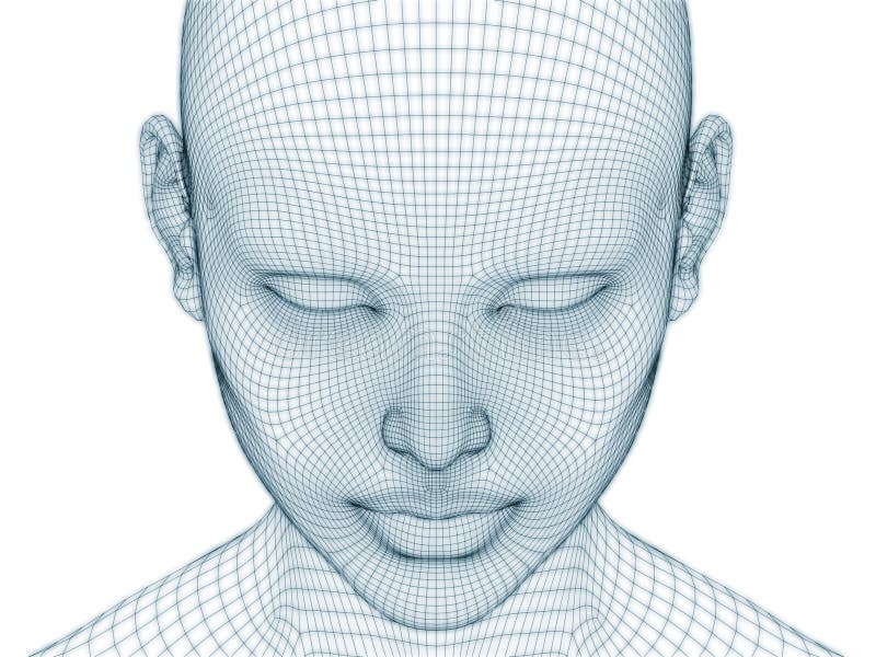 Human Face Wire Mesh stock illustration. Illustration of white - 213202611