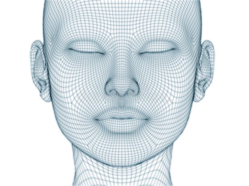 Human Face Wire Mesh stock illustration. Illustration of wire - 196086021