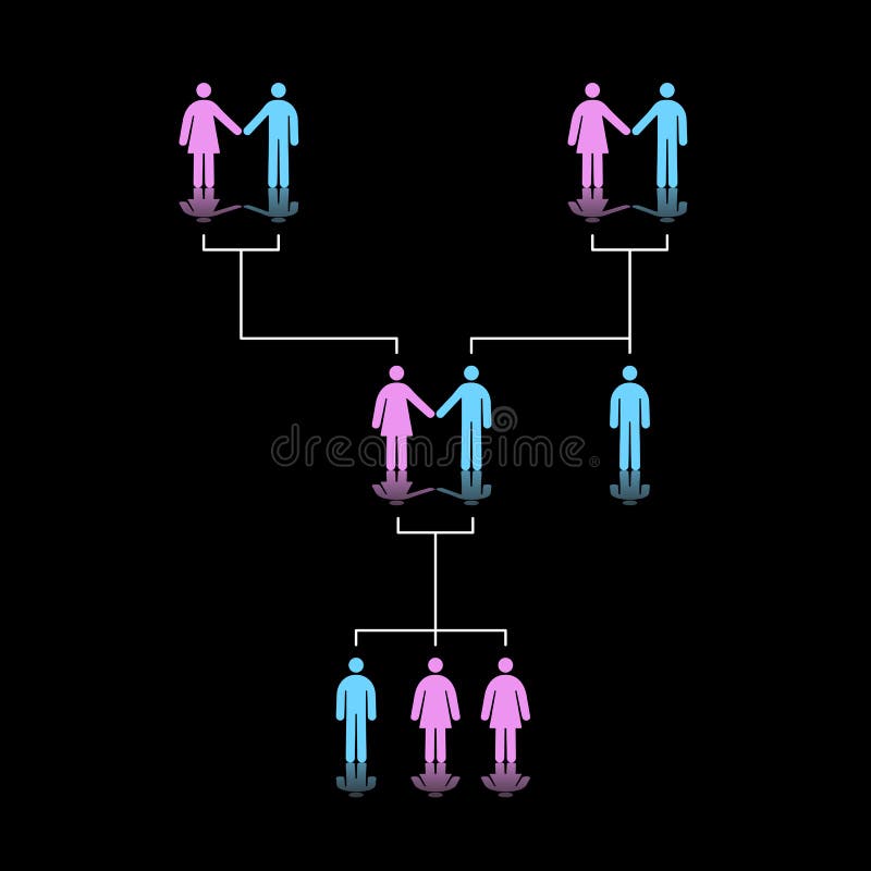 Human Family Tree stock vector. Illustration of duplication - 12520465