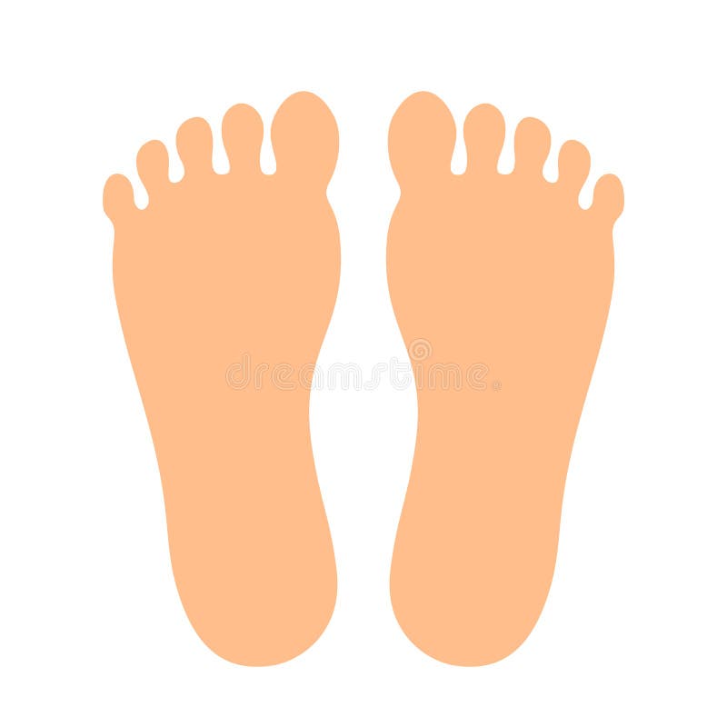 Human feet vector icon stock vector. Illustration of bottom - 135362778