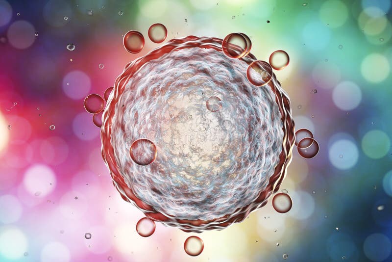 Human female egg cell stock illustration. Illustration of human - 79632817