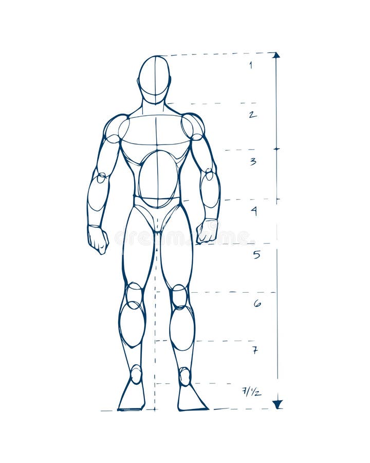 Human`s Figure, Pencil Drawing Illustration, Sketch Stock Illustration ...