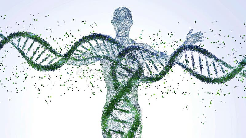 A Human Figure is Formed from DNA Strands on a White Background Stock ...