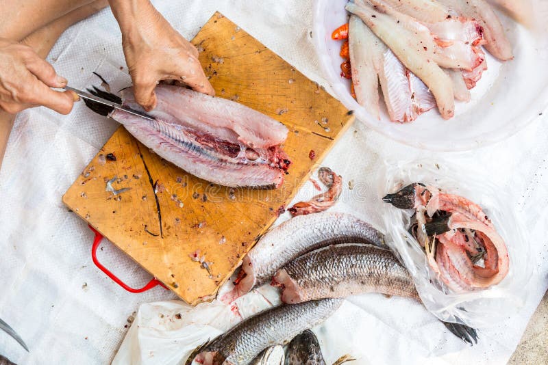 Human Filleting a Fresh Fish. Stock Image - Image of fish, healthy ...